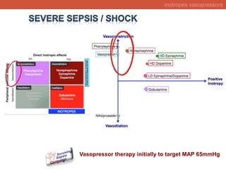 Rational choice of inotropes and vasopressors in intensive care unit | PPSX