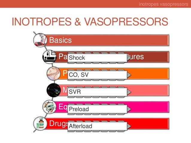 Rational choice of inotropes and vasopressors in intensive care unit