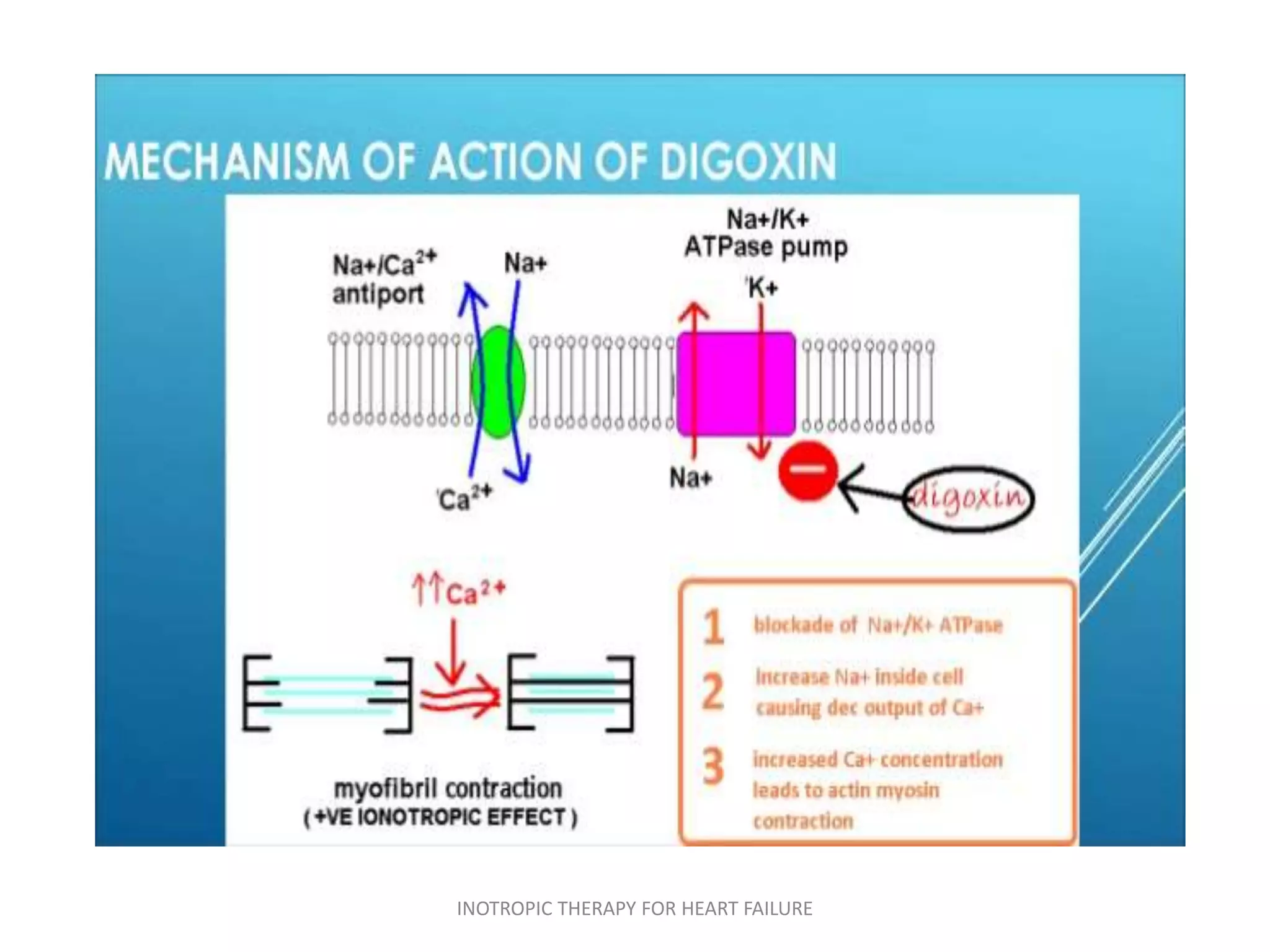 Inotropic therapy for heart failure | PPTX