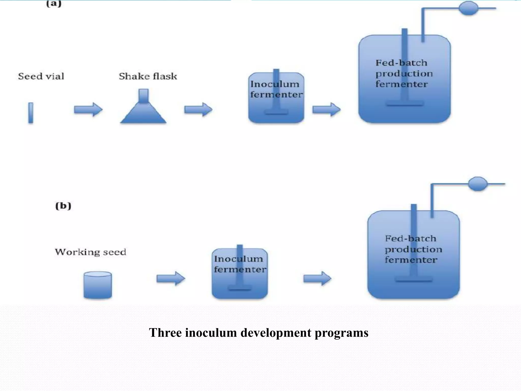 Types of fermentation and Inoculam build up | PPTX