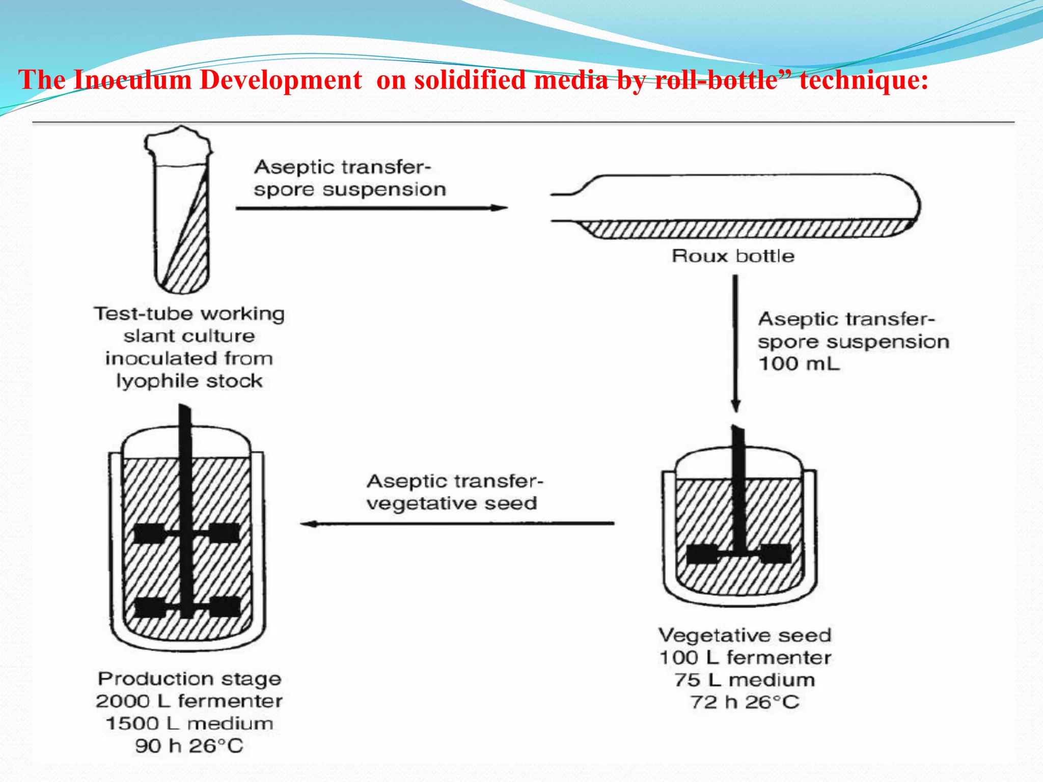 Types of fermentation and Inoculam build up | PPTX