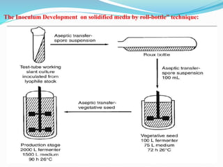 Types of fermentation and Inoculam build up | PPTX