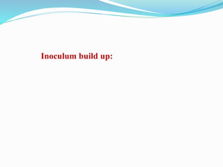 Types of fermentation and Inoculam build up | PPTX