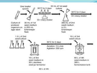 Types of fermentation and Inoculam build up | PPTX