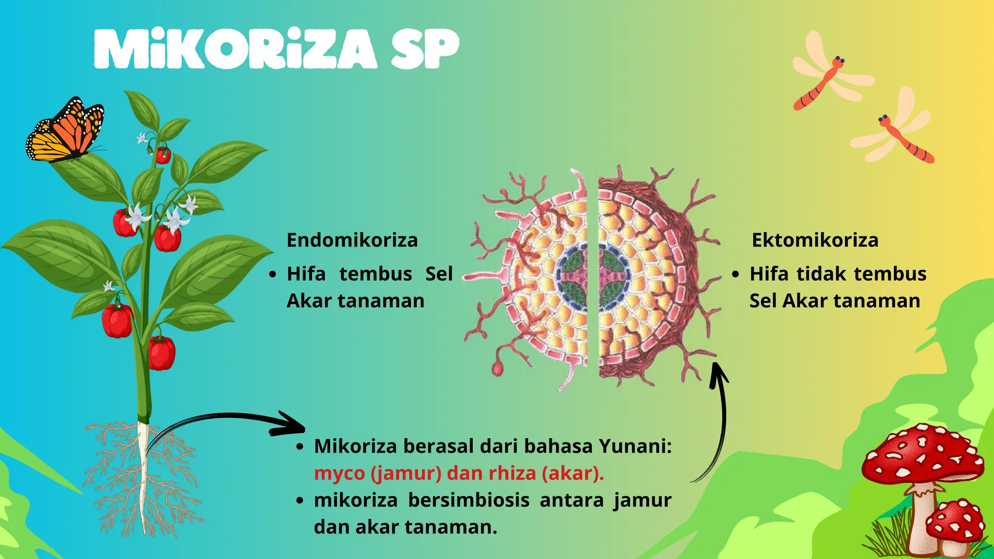 Inovasi fungi Trichoderma and mikoriza | PDF