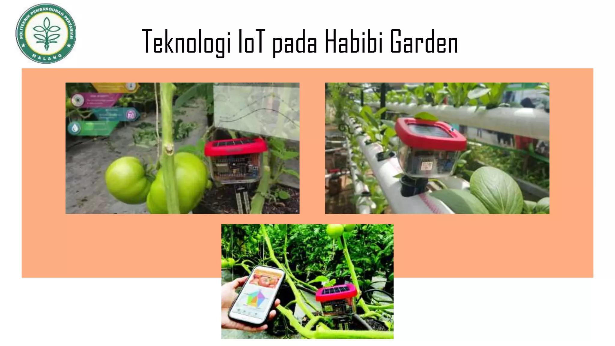 Inovasi pertanian berbasis aplikasi habibi garden | PPTX