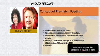 In ovo technology | PDF