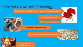 In ovo technology | PDF