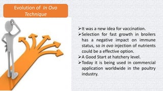 In ovo technology | PDF