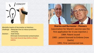 In ovo technology | PDF