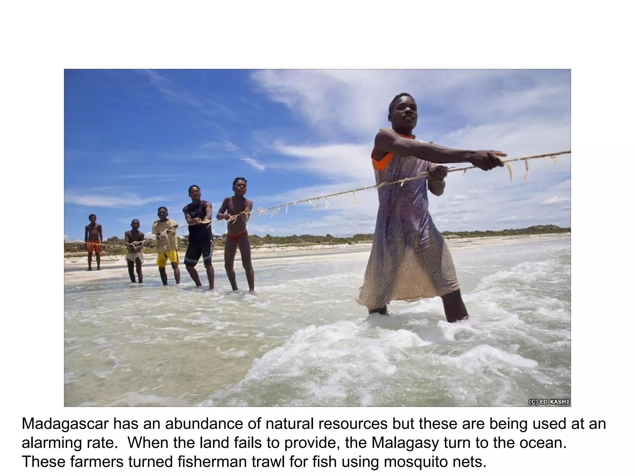 In pictures madagascar | PPT