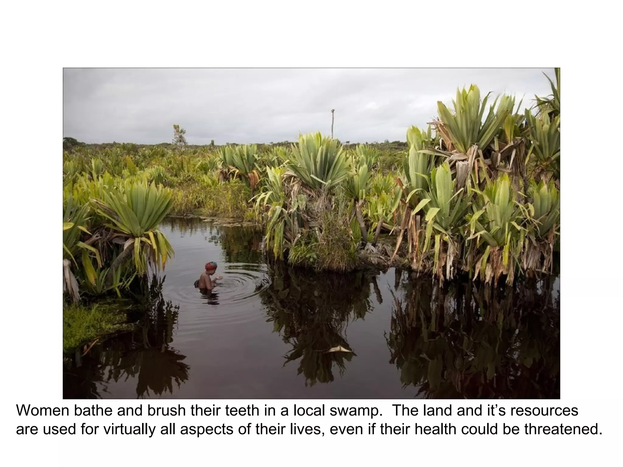 In pictures madagascar | PPT