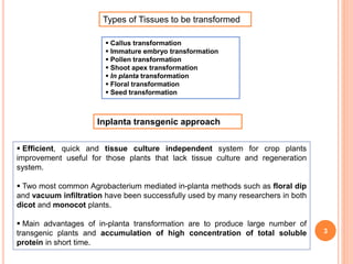 INPLANTA TRANSGENIC APPROACH FOR CROP IMPROVEMENT | PPTX