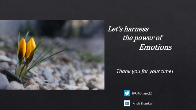 In pursuit of emotions at the workplace | PPT