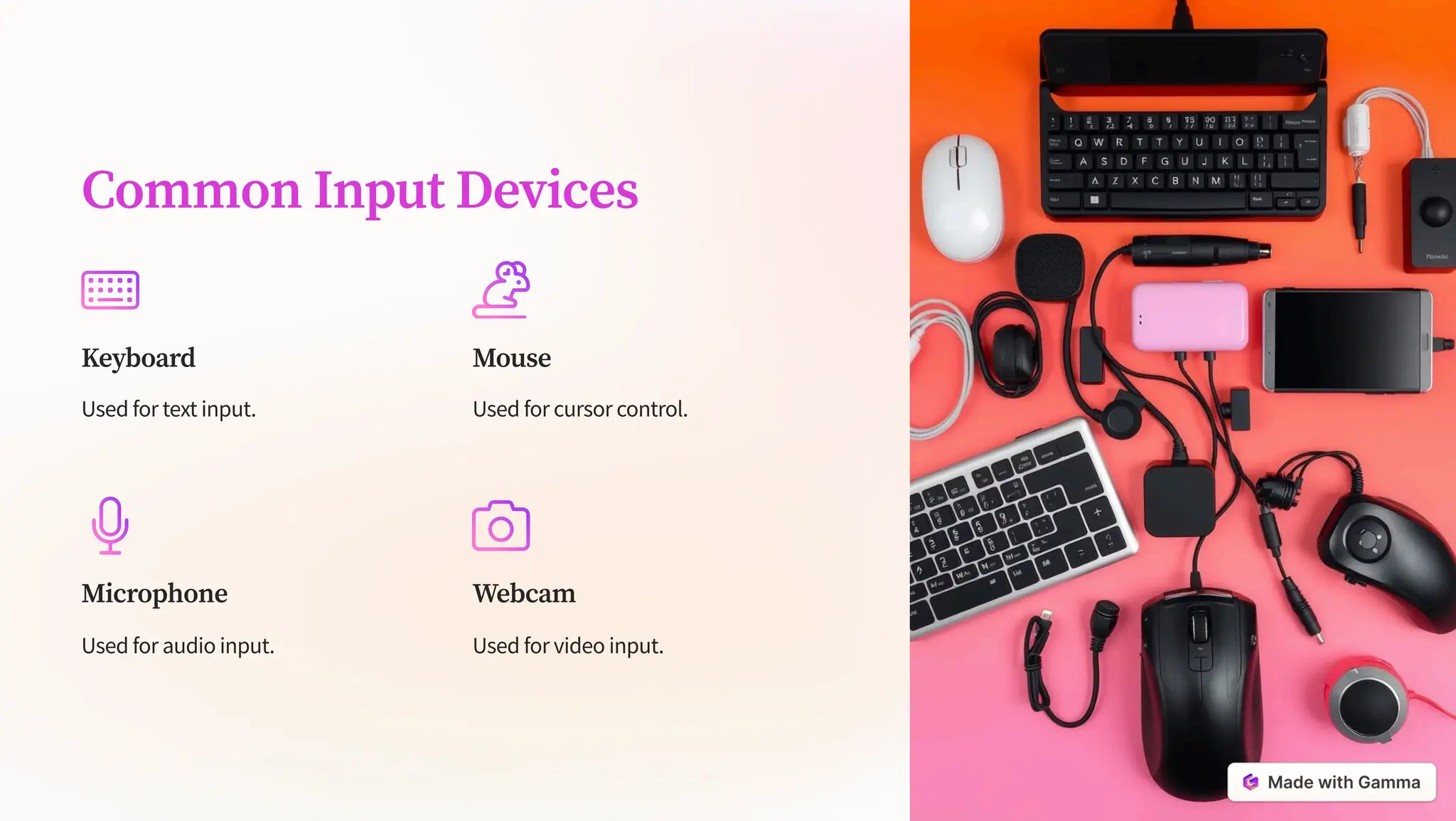 Input and Output Devices and their details.pdf | Free Download