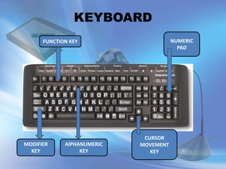 Input devices | PPT | Computer Peripherals | Computing