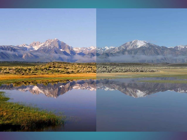 image capturing devices | PPTX