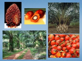 INPUT-OUTPUT pada data dan metode iterasi.pptx