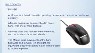 Input and Output Devices Class V | PPTX