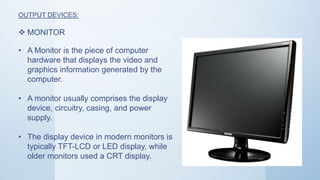 Input and Output Devices Class V | PPTX