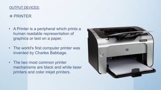 Input and Output Devices Class V | PPTX