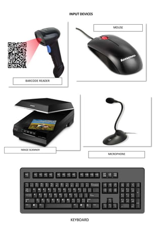 Input and output devices | DOCX