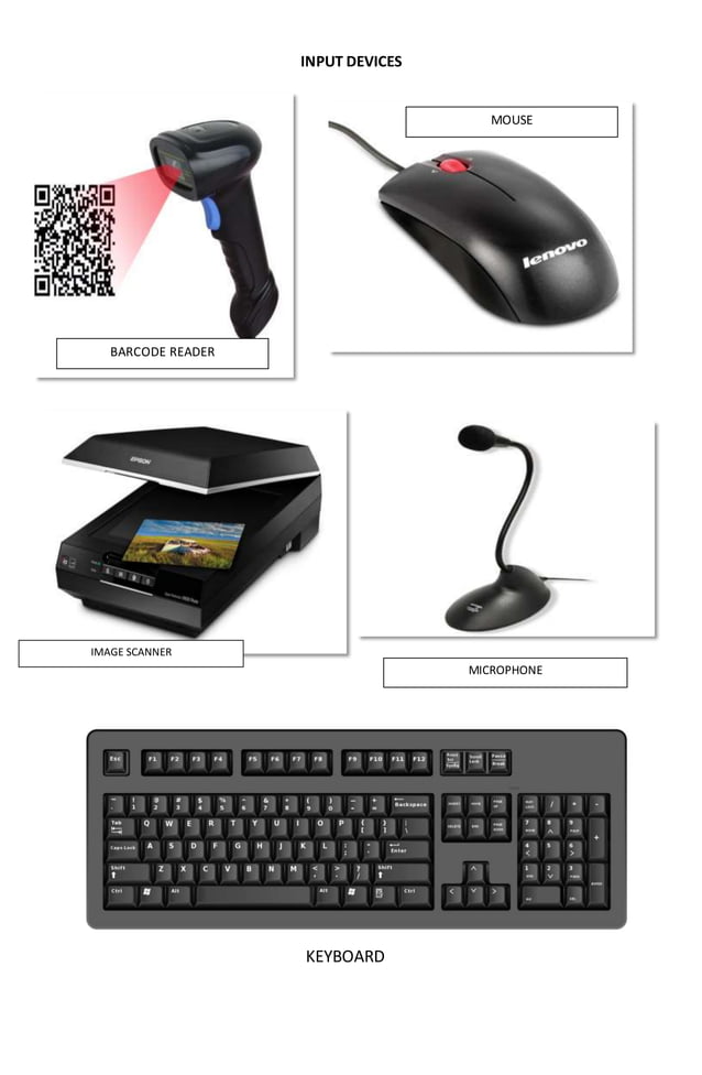 Input and output devices | DOCX | Computer Peripherals | Computing
