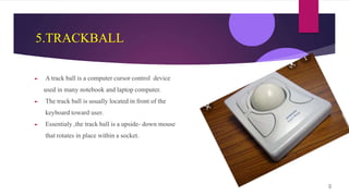 Input and Output Devices | PPTX