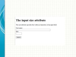 css and Input attributes | PPT