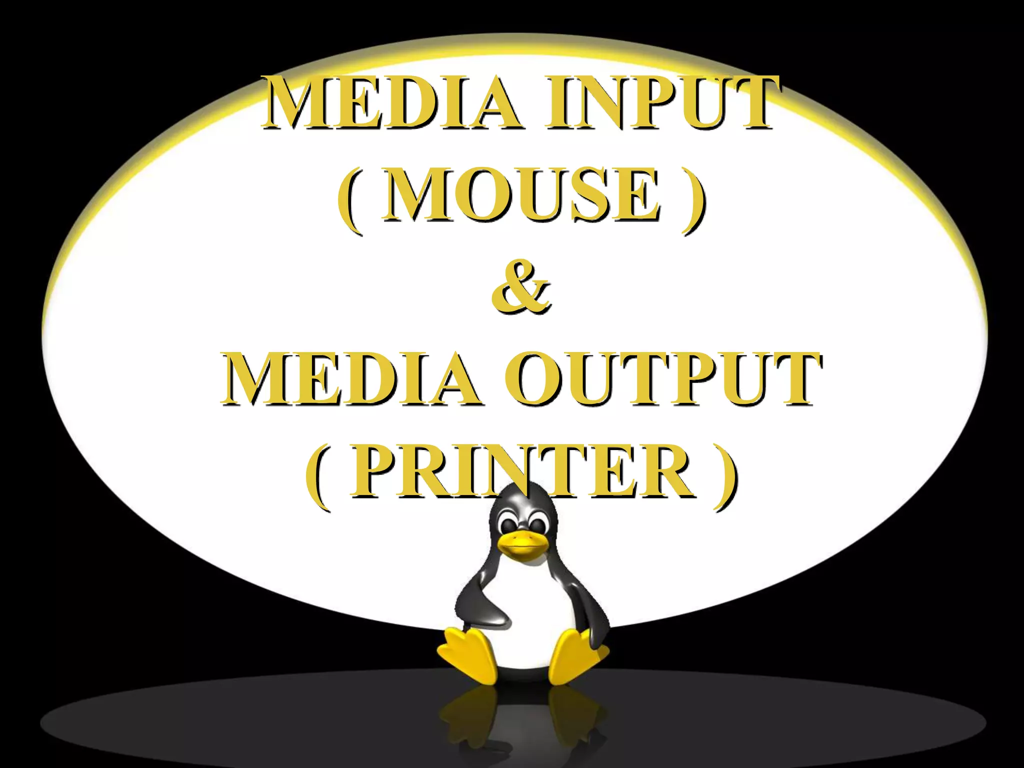 salah satu contoh media Input dan output | PPTX