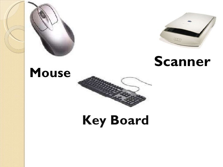 Input devices