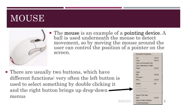 Input devices | PPTX | Computer Peripherals | Computing