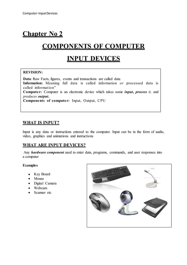 Input devices | PDF
