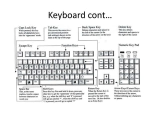 Input Devices in computers - basic knowledge | PPTX