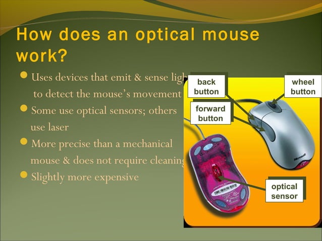 Input devices in computer graphics
