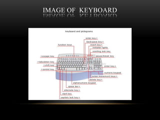 Input devices of computer | PPTX