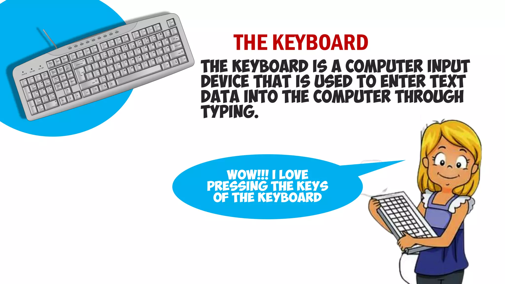 PRESENTATION ON INPUT DEVICES.pdf
