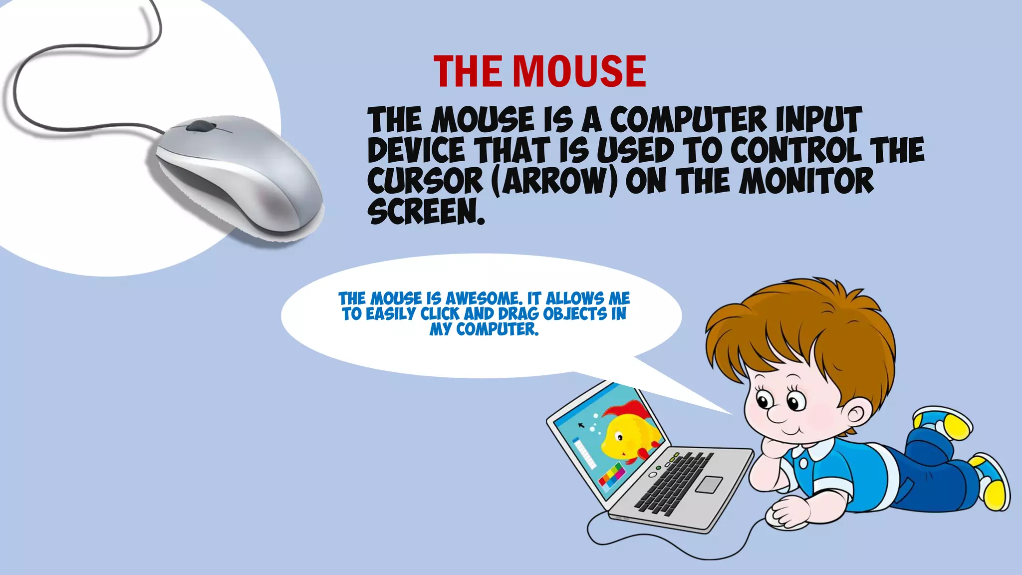 PRESENTATION ON INPUT DEVICES.pdf