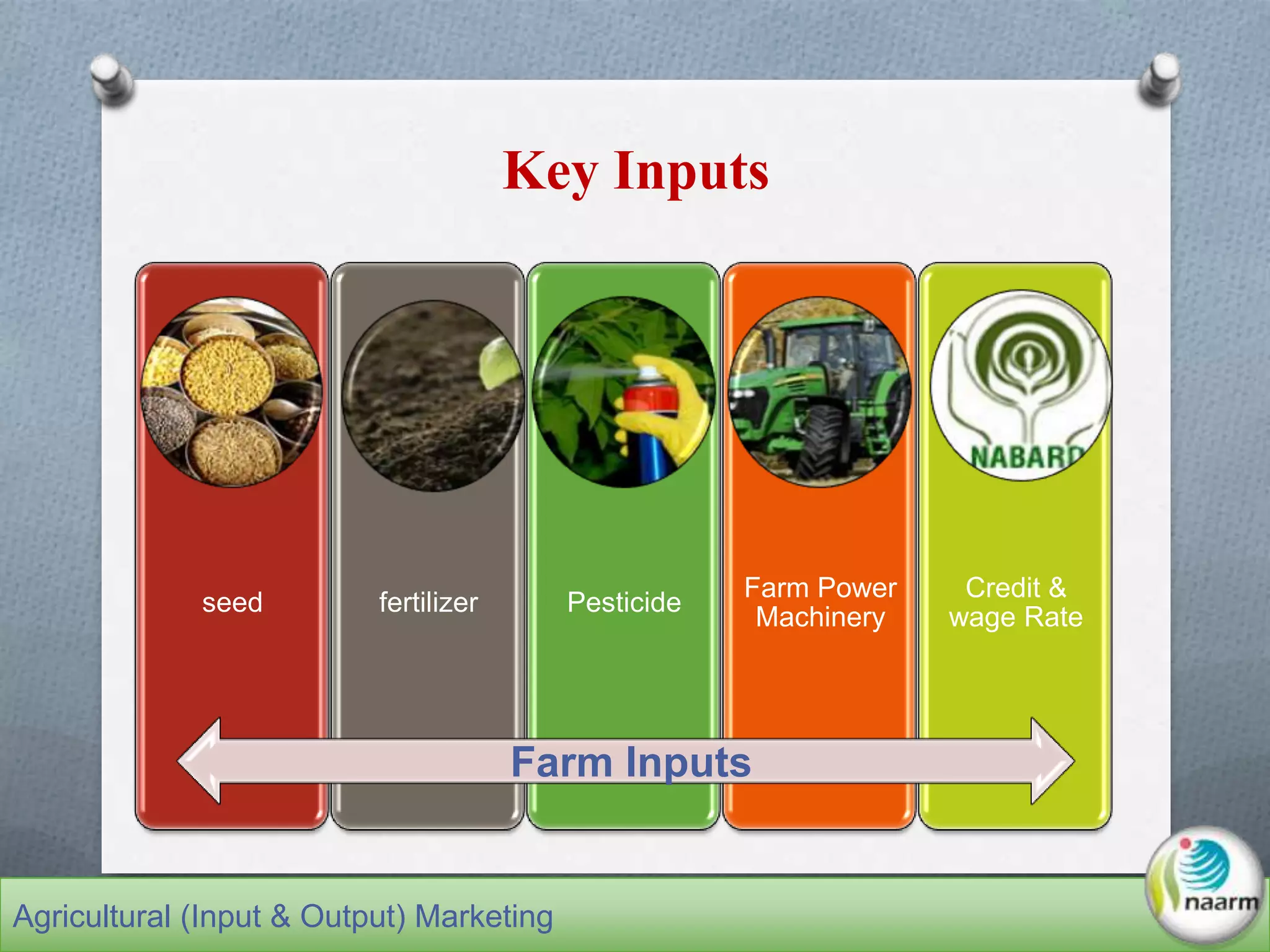 Agri Input marketing | PPTX