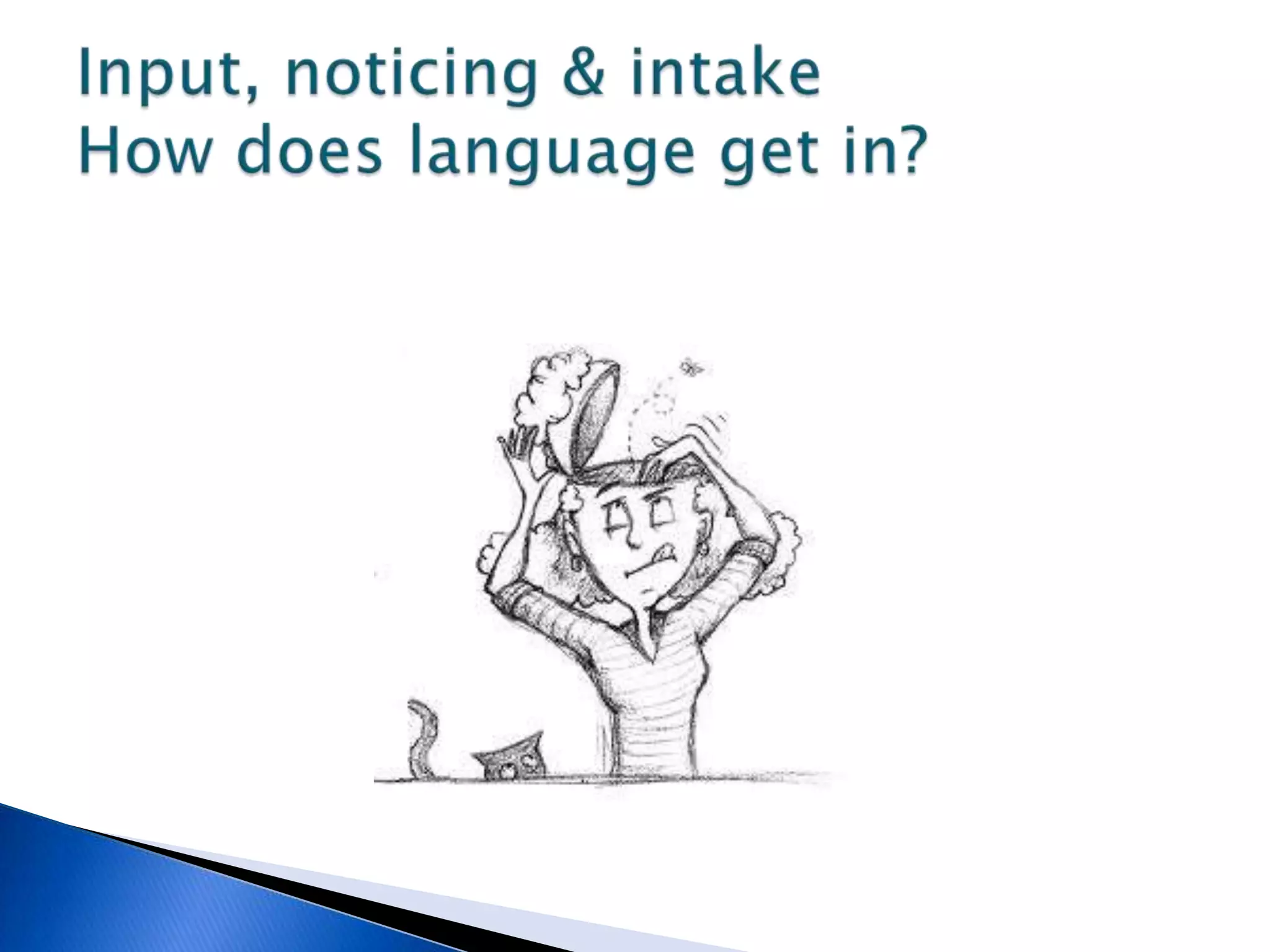 Input, noticing & intake | PPTX