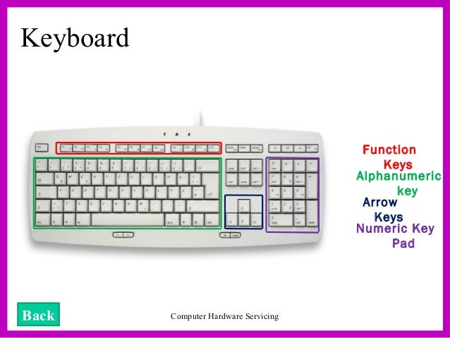 Input & output devices