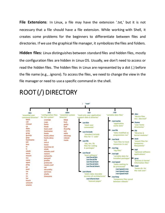 linux file sysytem& input and output | DOCX | Operating Systems ...