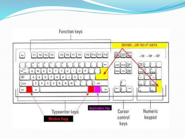Input,output & storage device ppt | PPTX | Data Storage and Warehousing | Computing