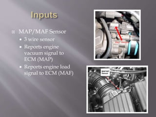 Inputs and Outputs | PPT