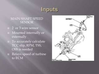 Inputs and Outputs | PPTX