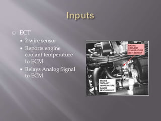 Inputs and Outputs | PPT
