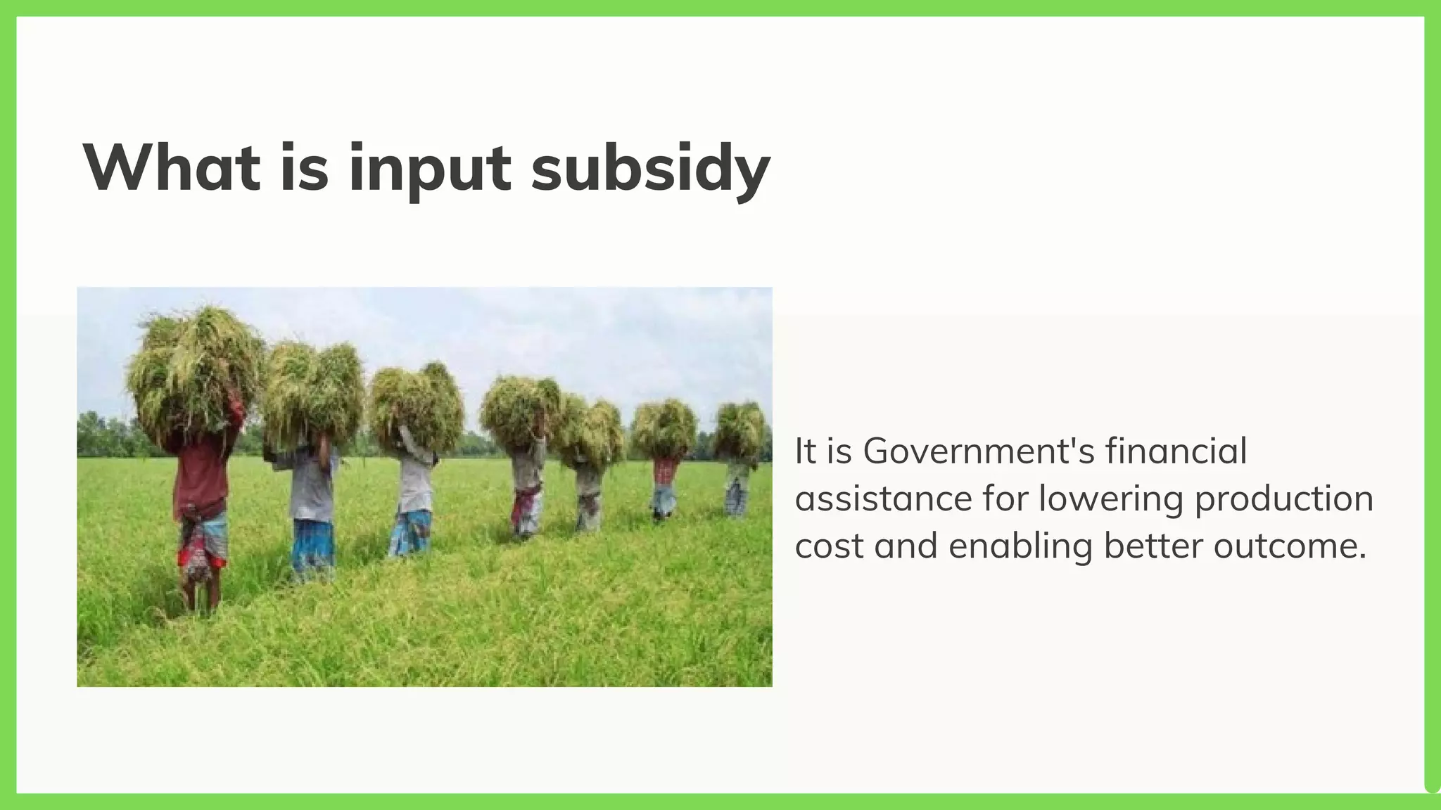 Input subsidy | PDF