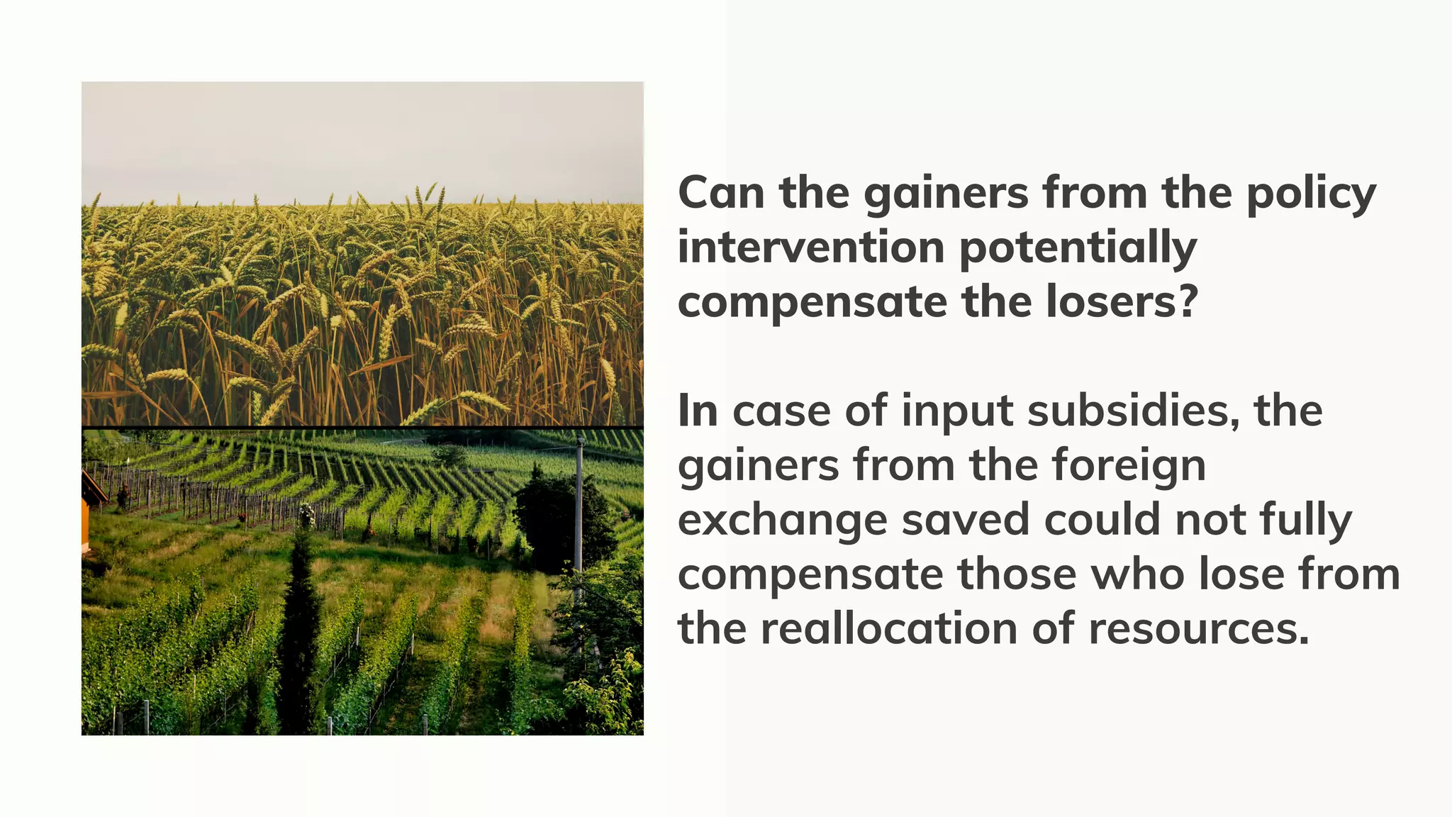 Input subsidy | PDF