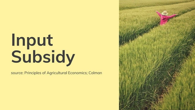 Input subsidy | PPT