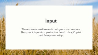 Input subsidy | PDF